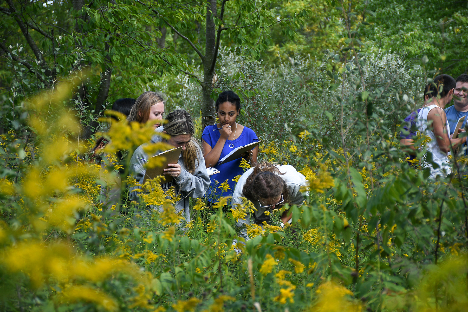 Bluffton University to offer new environmental science major ...